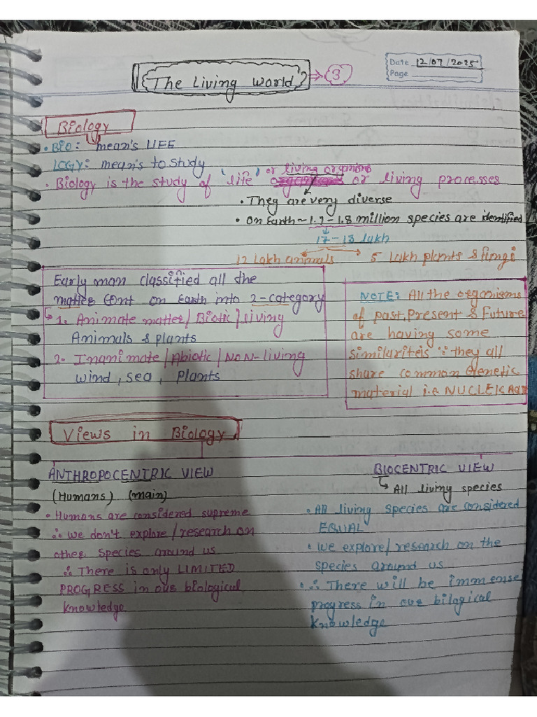 Li. W. Note | PDF