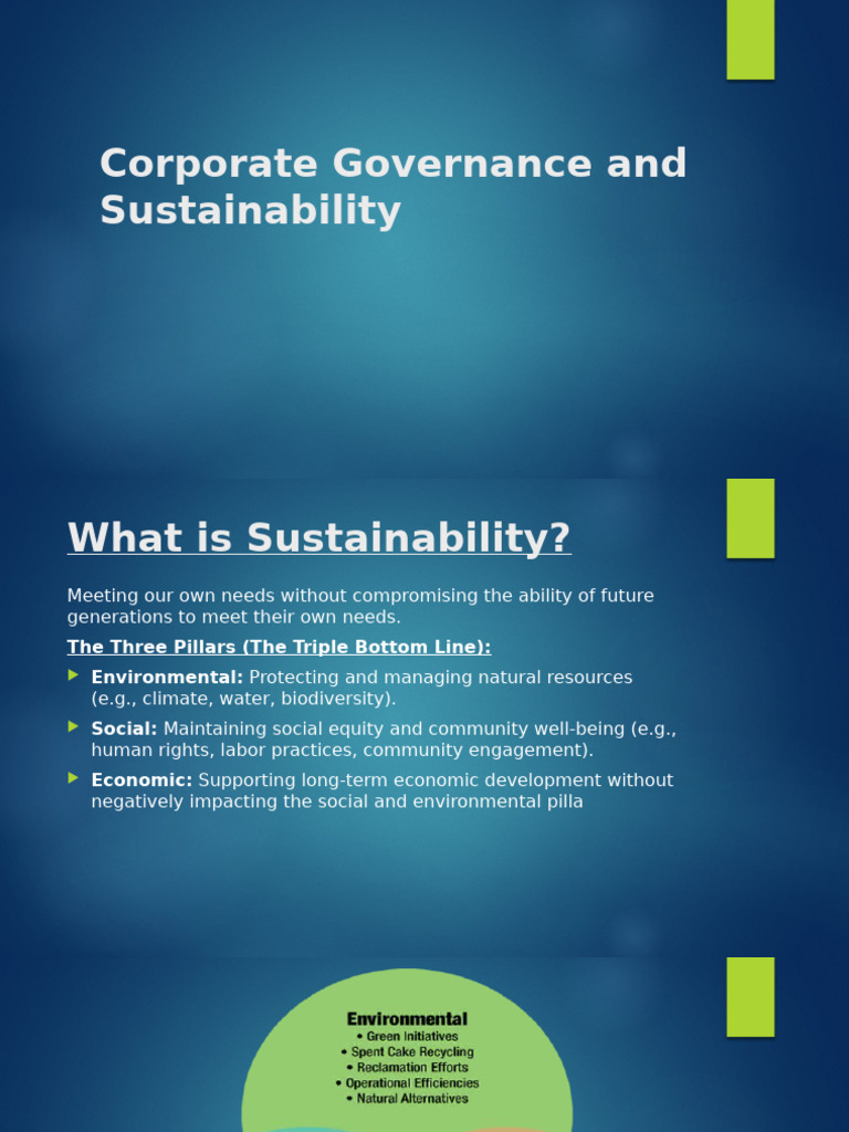 Corporate Governance and Sustainability | PDF | Sustainability | Economies