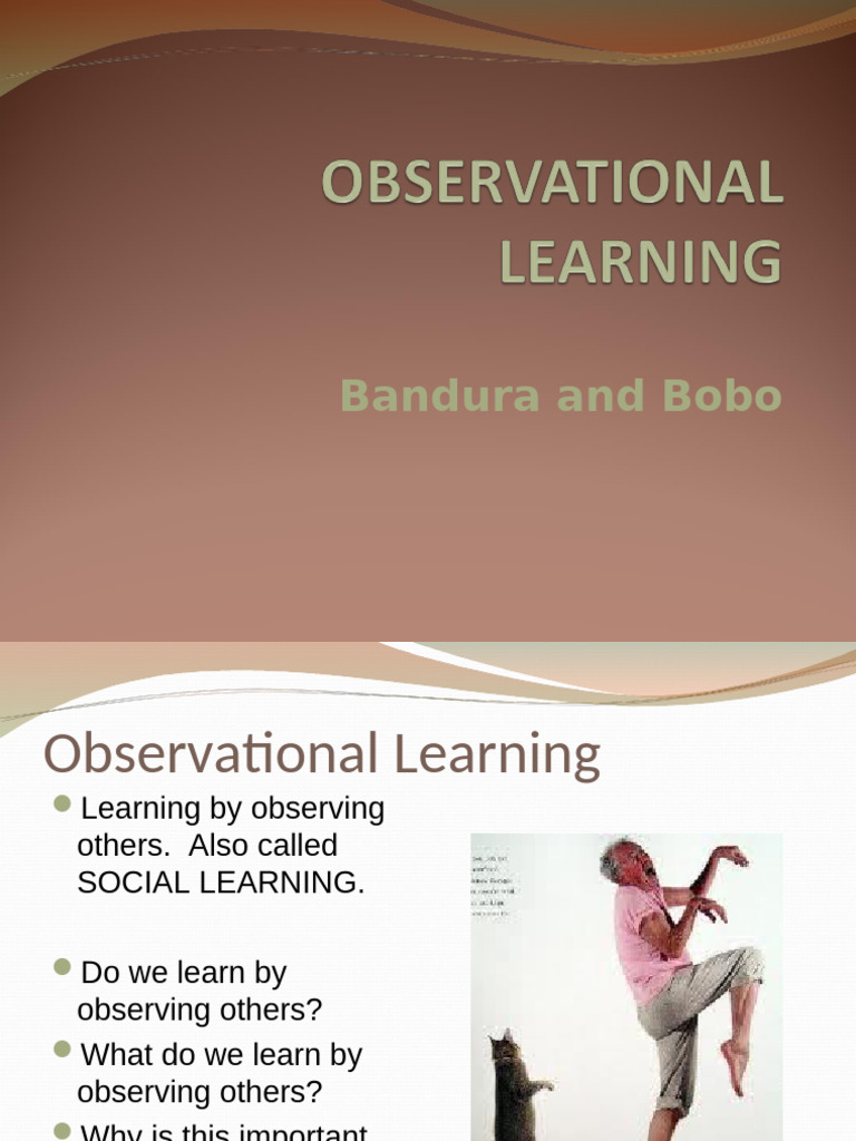 Observational Learning | PDF | Empathy | Imitation