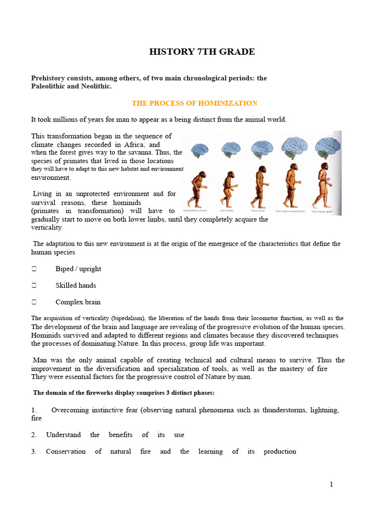 History 7th Grade - Prehistory | PDF | Bipedalism | Neolithic
