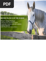 Pony Club C Test Guidelines | PDF | Horse Gait | Horses