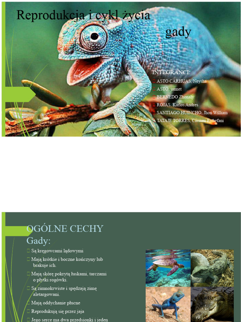 Rozmnażanie Gadów | PDF