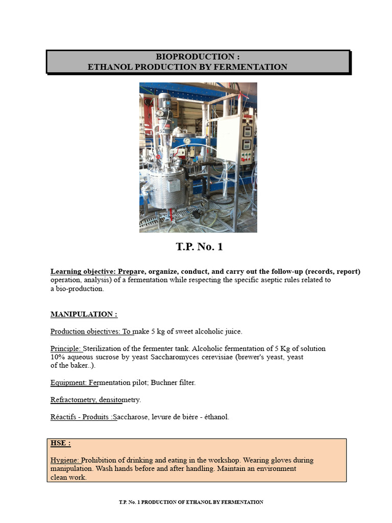 Ethanol Fermentation Production | PDF | Fermentation | Yeast