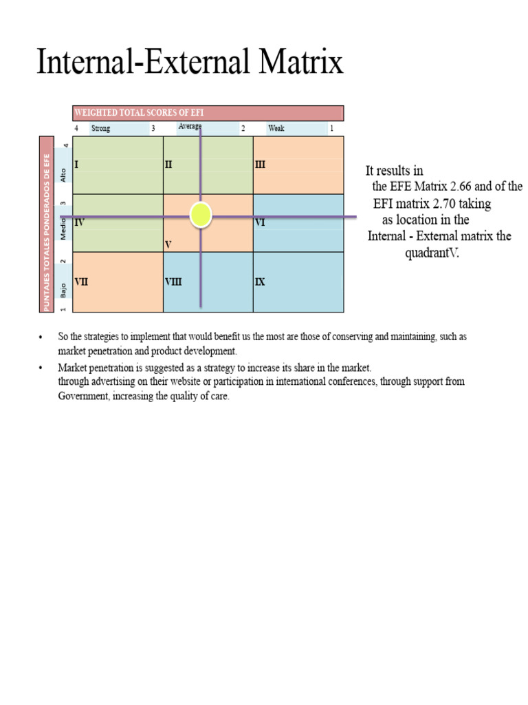 Internal-External Matrix Analysis | PDF