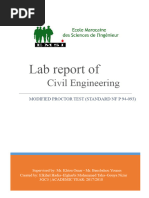 Proctor Test Comparison: Standard vs Modified | PDF