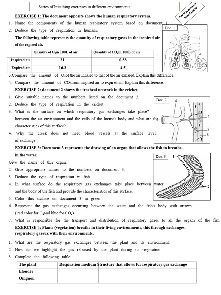 Breathing Exercises Across Species | PDF | Breathing | Respiratory System