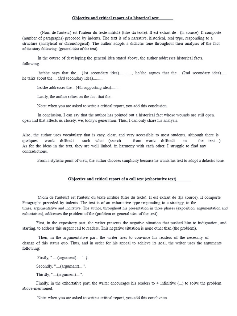 Report - Objective and Critique | PDF | Paragraph