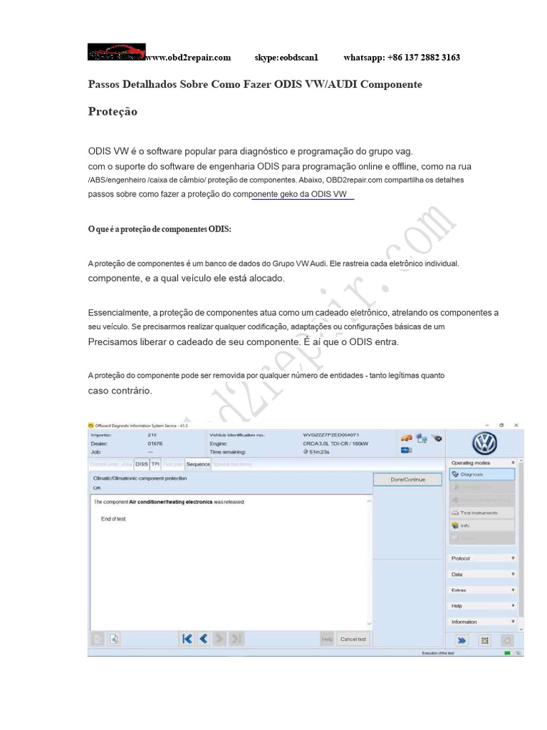 Como Remover Proteção de Componentes ODIS VW/Audi | PDF | Programas ...
