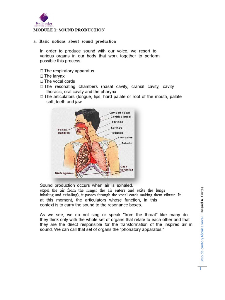 Singing and Vocal Technique (Level I) | PDF | Human Voice | Singing