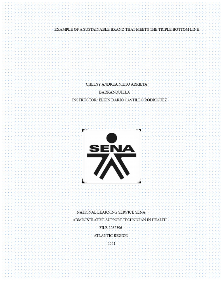 Example of a Sustainable Brand That Meets the Triple Bottom Line | PDF ...
