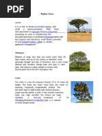 Tennessee Tree Identification Guide | PDF | Trees | Oak