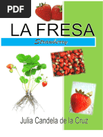 Strawberry Plant Anatomy for Kids | PDF | Fruit | Strawberry