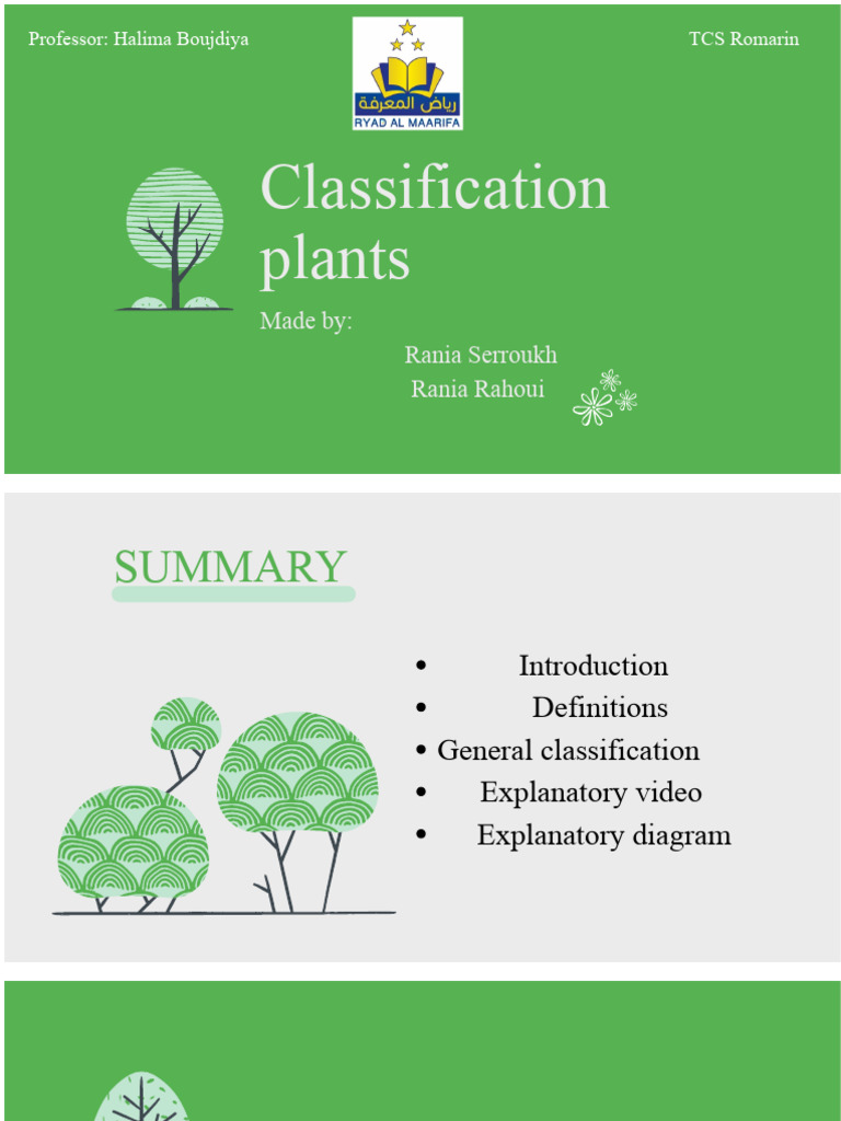 Classification of plants | PDF | Plants | Fern