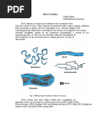 Formation and Importance of Braided Channels | PDF | River | Ecology