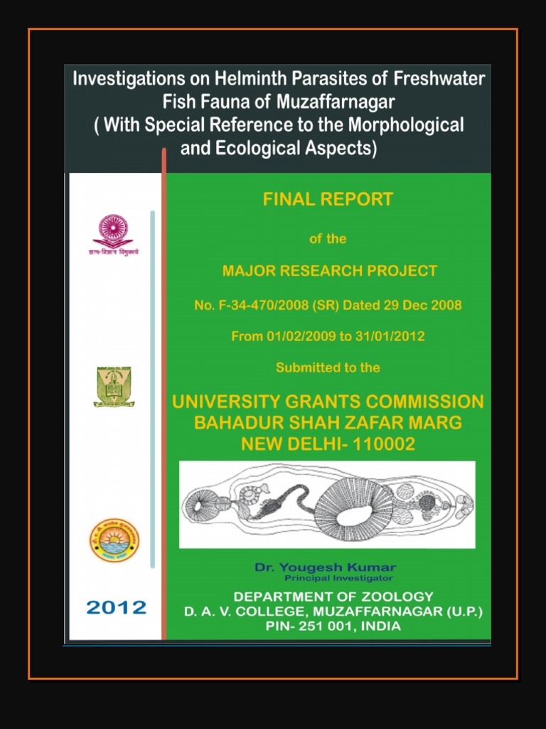 Executive Summary Major Research Project | PDF | Correlation And Dependence | Parasitism