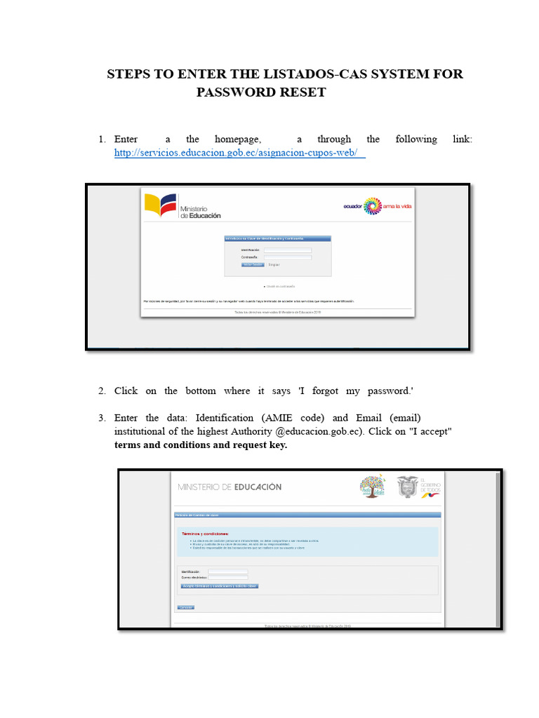 Steps To Access The Listed Cas System For Password Reset | PDF
