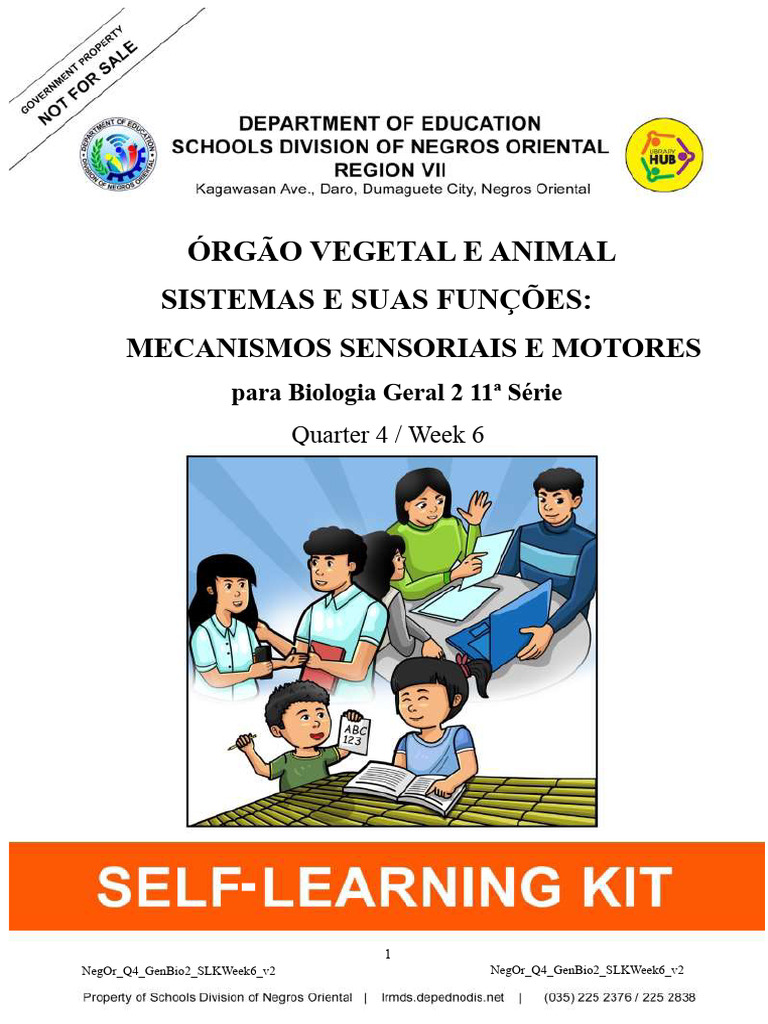 NegOr_Q4_GenBio2_SLKSemana6_v2 | PDF | Estímulo (Fisiologia) | Anatomia