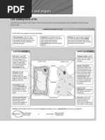 Part 1 Unit 5 Biology - Topic 8 | PDF | Action Potential | Chemical Synapse