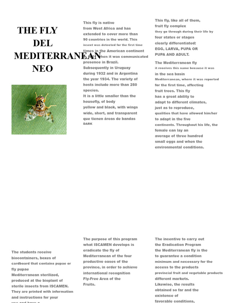 The Mediterranean Fly Lucas | PDF | Fly | Mediterranean Sea