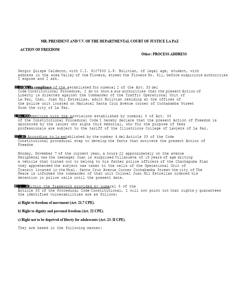 Action of Freedom for Juan Villanueva | PDF | Habeas Corpus | Civil ...
