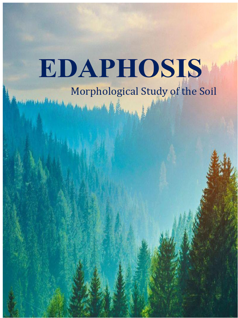 Report on the Morphological Study of Soil | PDF | Soil | Porosity