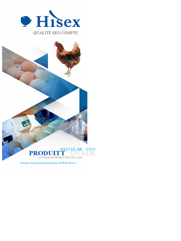Performance et gestion du Hisex Brown | PDF | Poulet