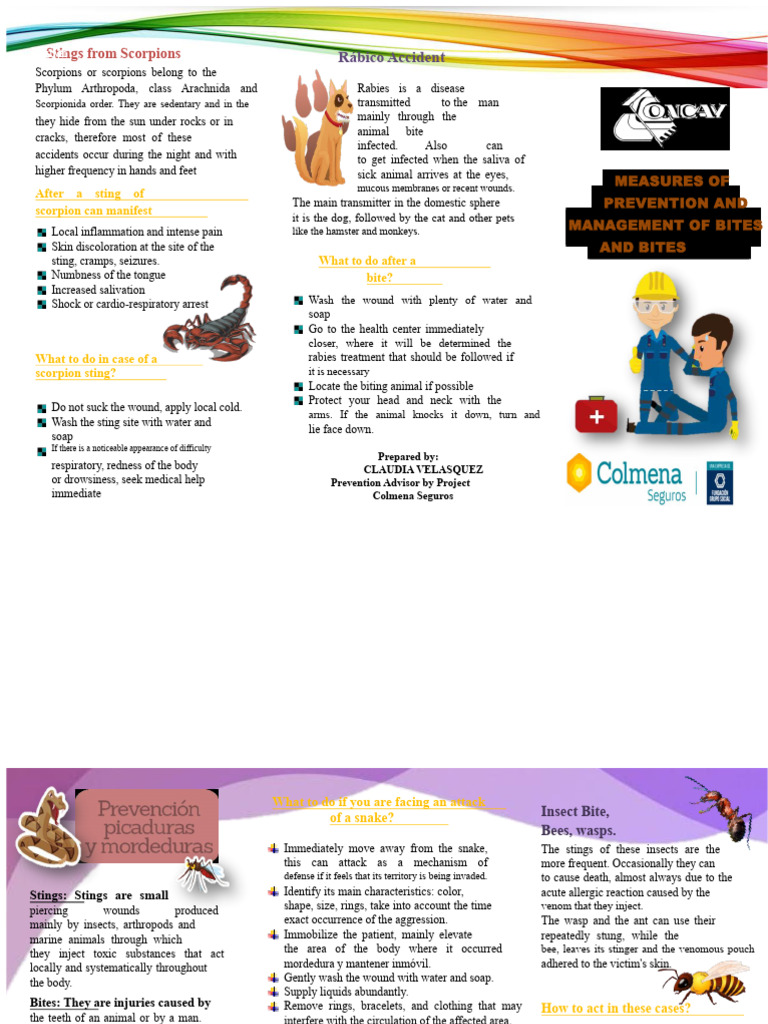Brochure Measures in Case of Stings and Bites | PDF | Diseases And ...