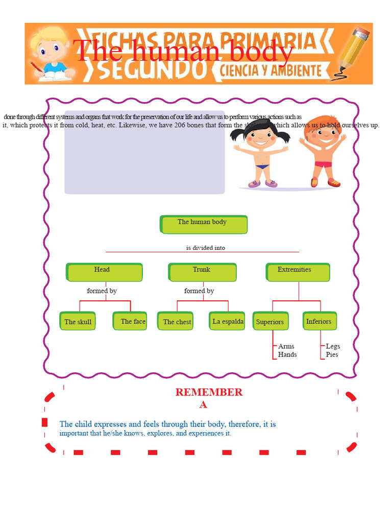 Human Body For Second Grade | PDF