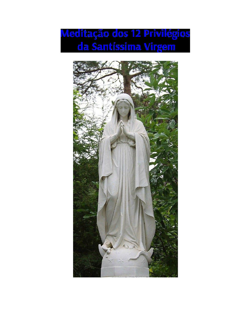 Meditation On The 12 Privileges of The Most Holy Virgin Mary | PDF ...
