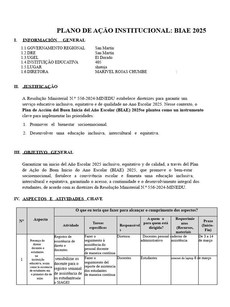 Plano de Ação BIAE 2025: Inclusão e Qualidade | PDF | Aprendizado ...