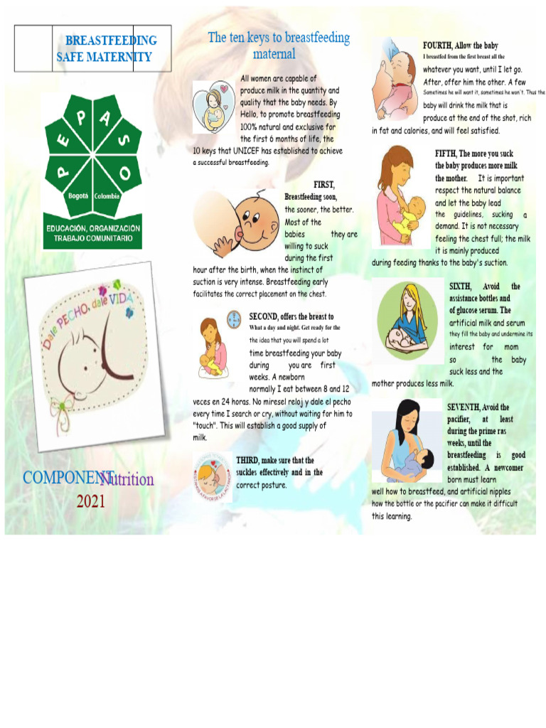 Breastfeeding Brochure | PDF | Breastfeeding | Breast Milk
