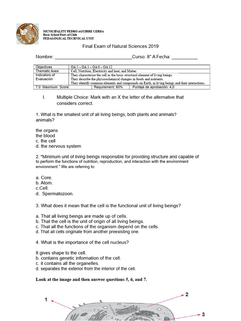 Final Exam Science 8th Grade | PDF | Leaf | Cell (Biology)