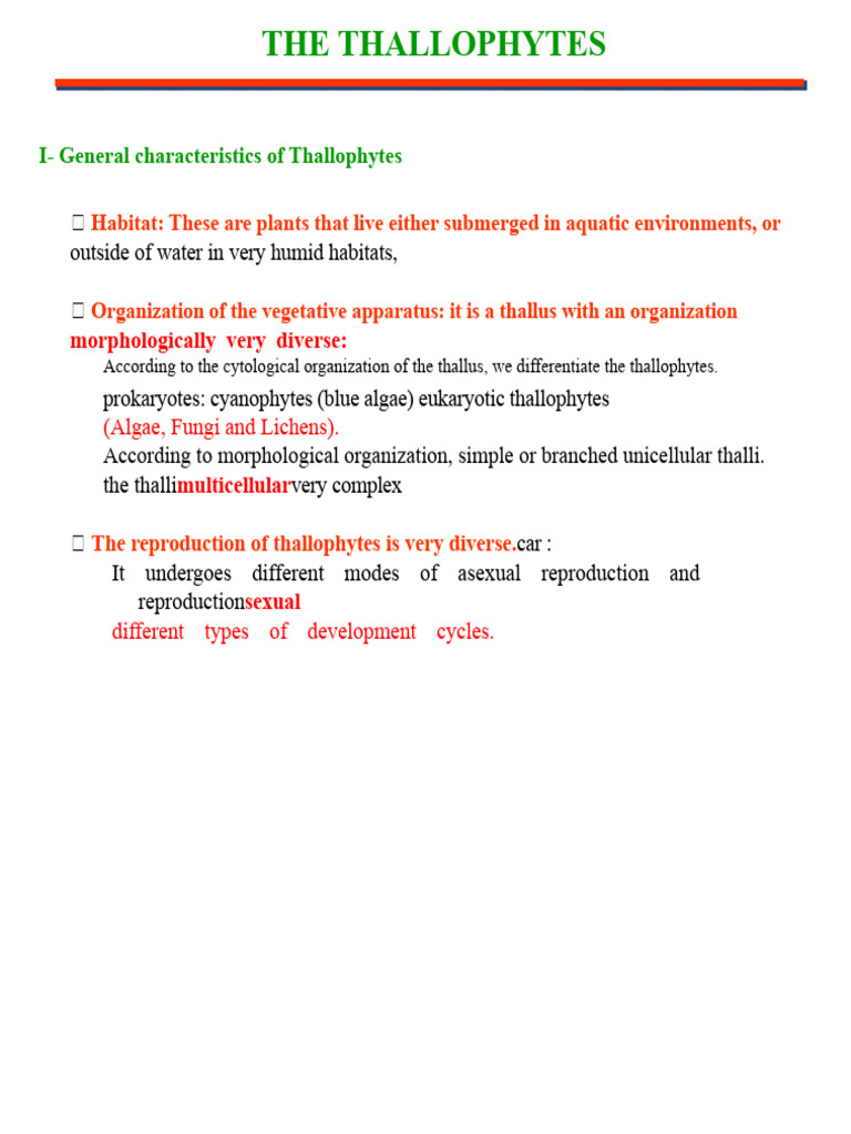 Overview of Thallophyte Characteristics | PDF