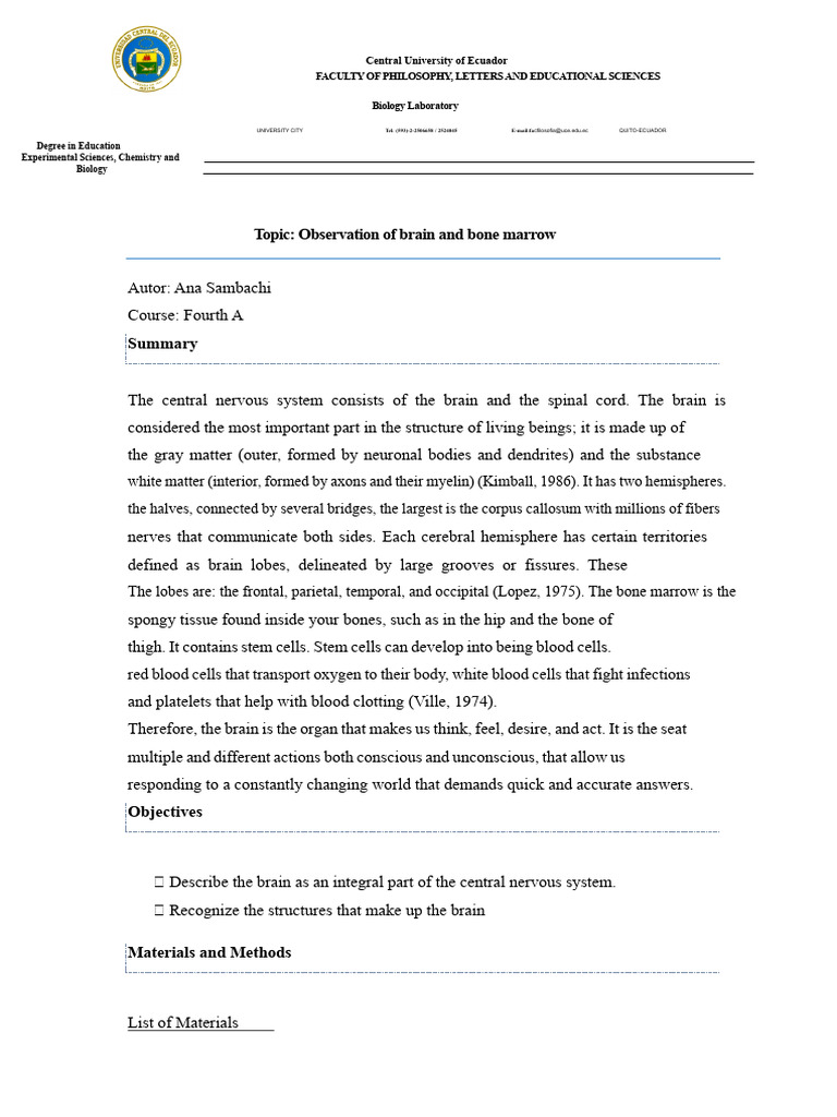 Brain and Bone Marrow Observation Guide | PDF | Cerebral Hemisphere ...