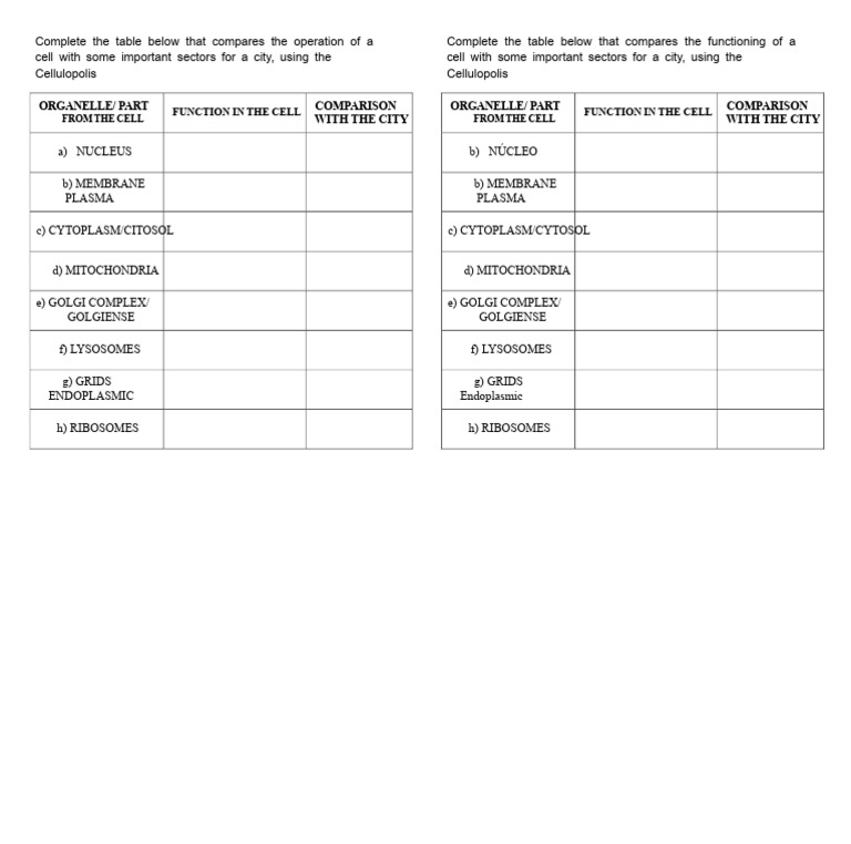 Complete The Table Below That Compares The Functioning of A Cell With ...