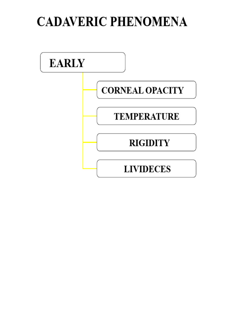 Cadaveric Phenomena | PDF