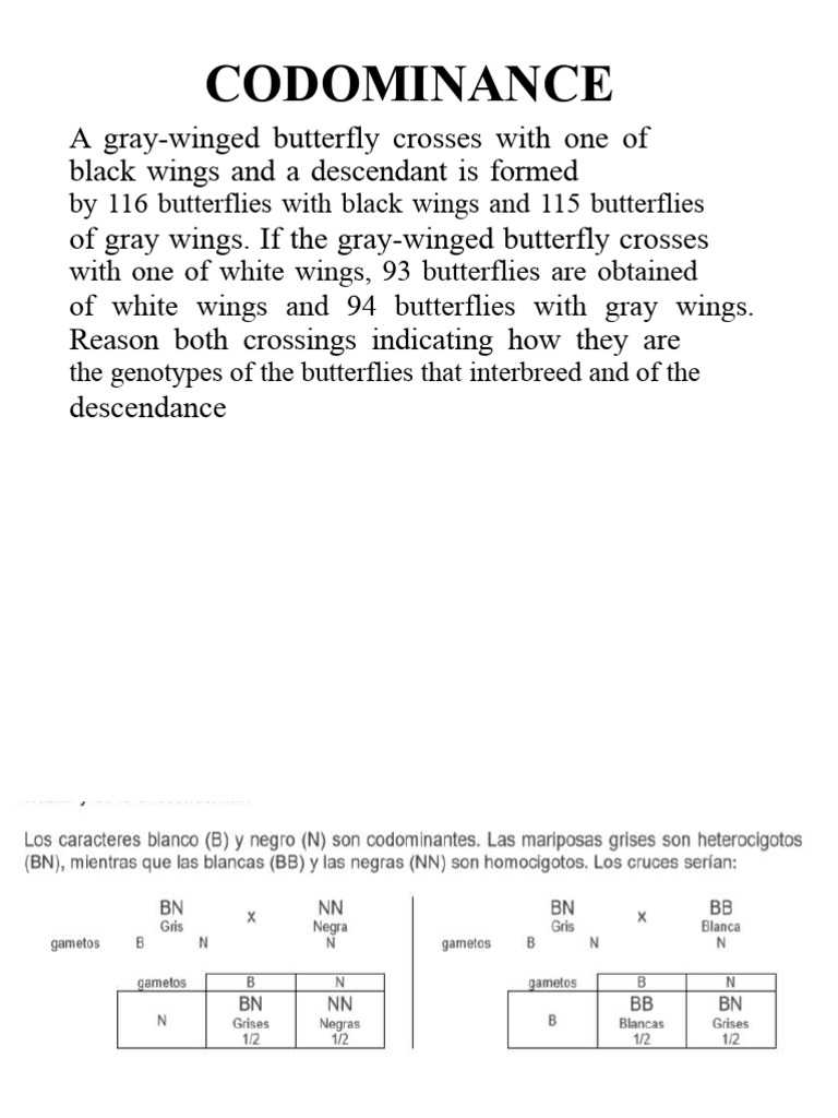 Exercises Codominance and Incomplete Dominance | PDF