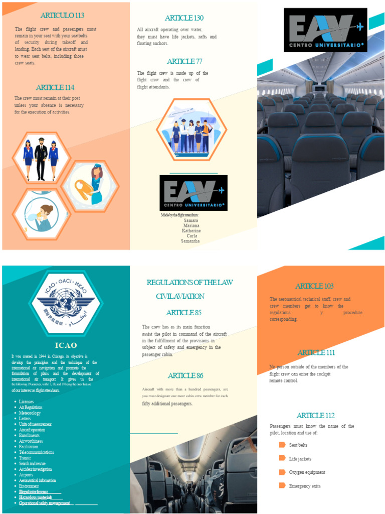 Aviation Safety Regulations Overview | PDF | Flight Attendant | Seat Belt