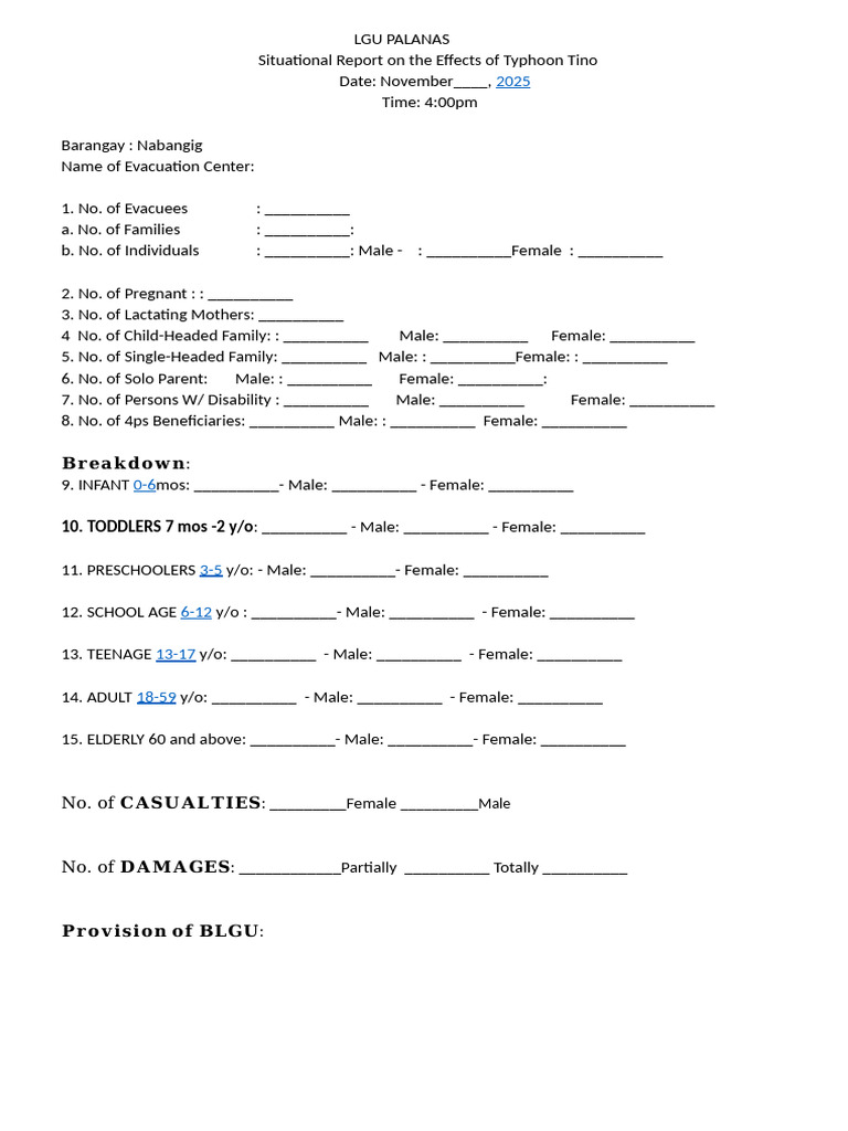 Lgu Palanas Typhoon Report Template | PDF
