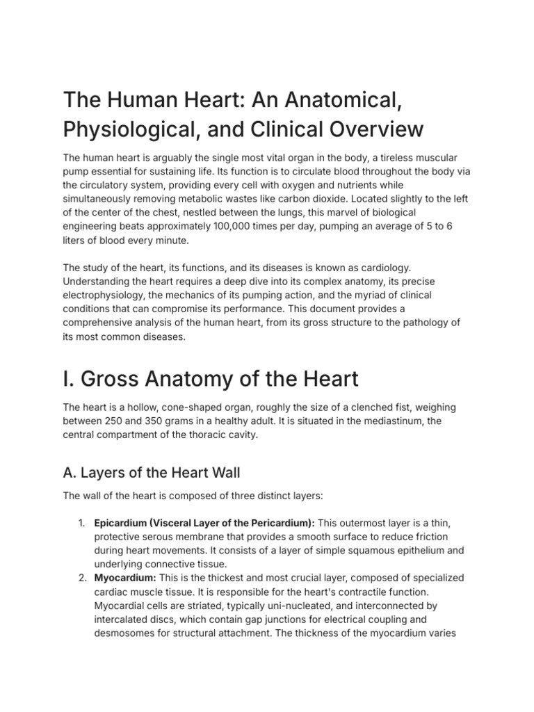 Human Heart Anatomy and Physiology Guide | PDF | Heart Valve | Heart