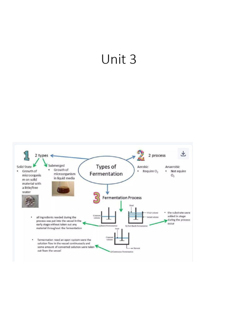 Lactic Acid Bacteria Fermentation Types | PDF | Yogurt | Sourdough