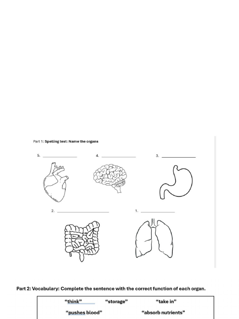 Animal Groups and Life Cycles Explained | PDF | Egg | Amphibian