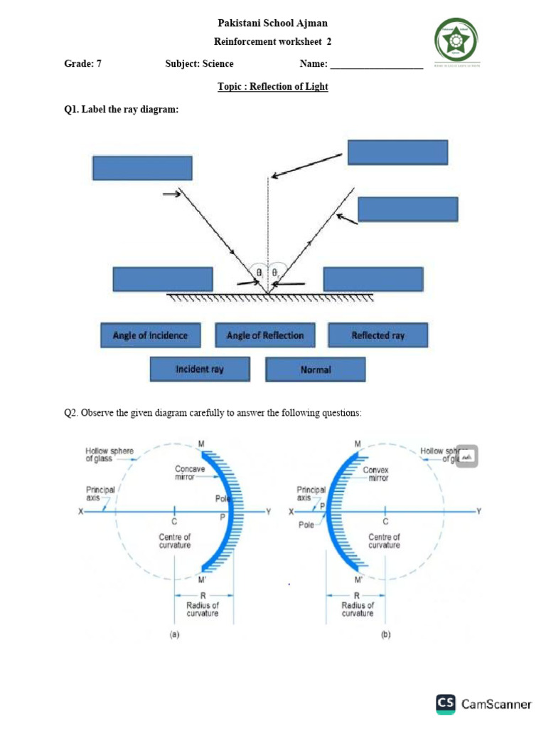 g7 Reflection of Light Day 2 Revision Worksheet 10783 | PDF | Mirror ...