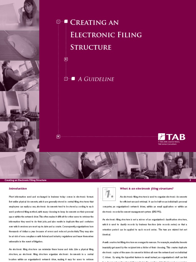 Electronic Filing Structure Guide | PDF | Records Management | File Format