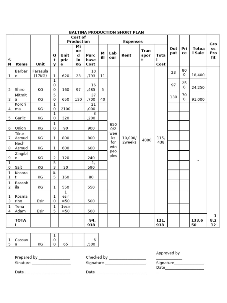 Baltina Production Cost Analysis Plan | PDF