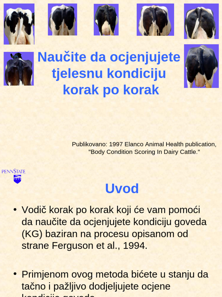 Ocjenjivanje Korak Po Korak | PDF