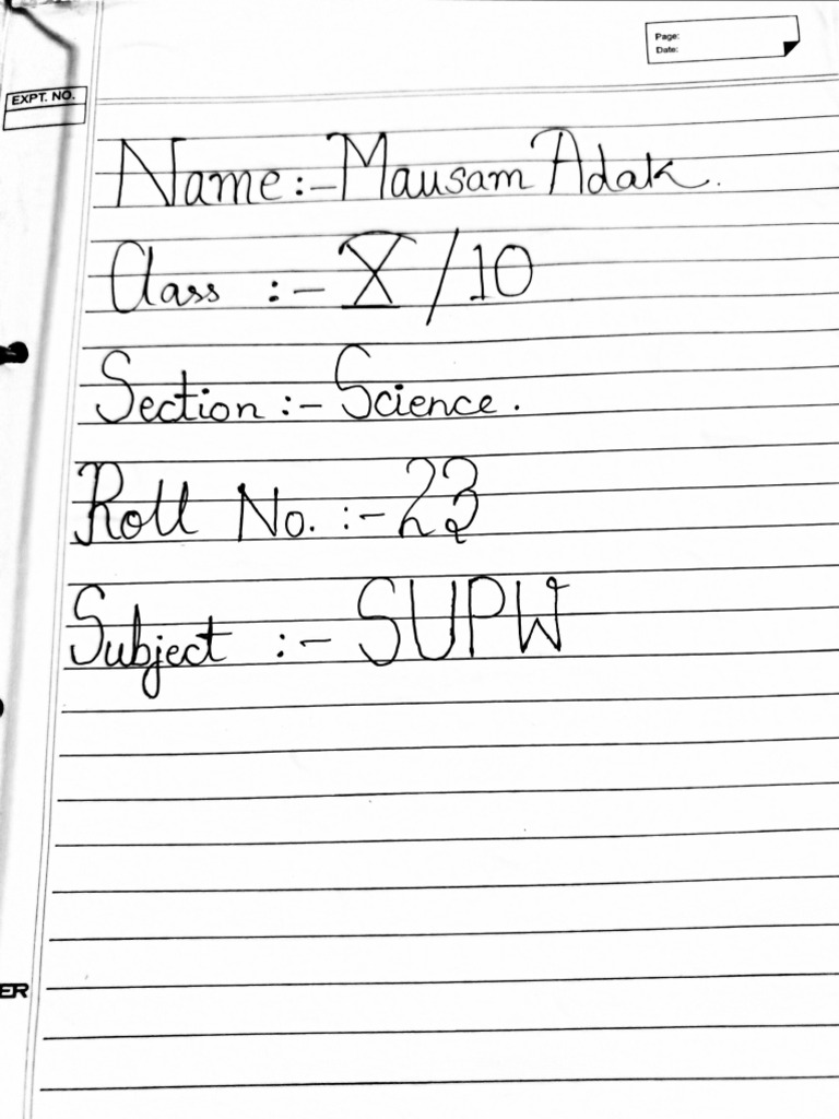 SUPW Project 24-Nov-2025 13-42-20 | PDF