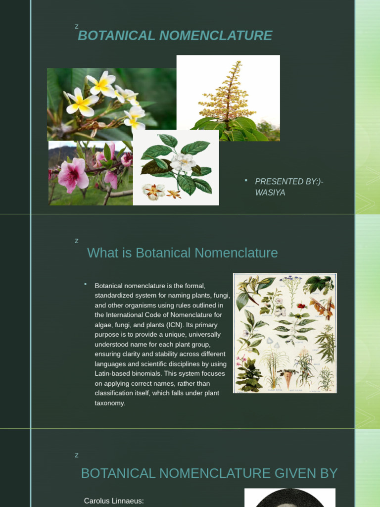 Understanding Botanical Nomenclature | PDF | Botanical Nomenclature | Genus