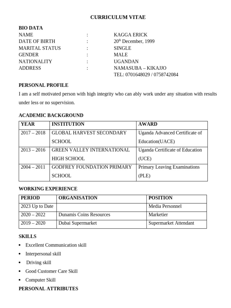 Kagga Erick's Professional CV | PDF