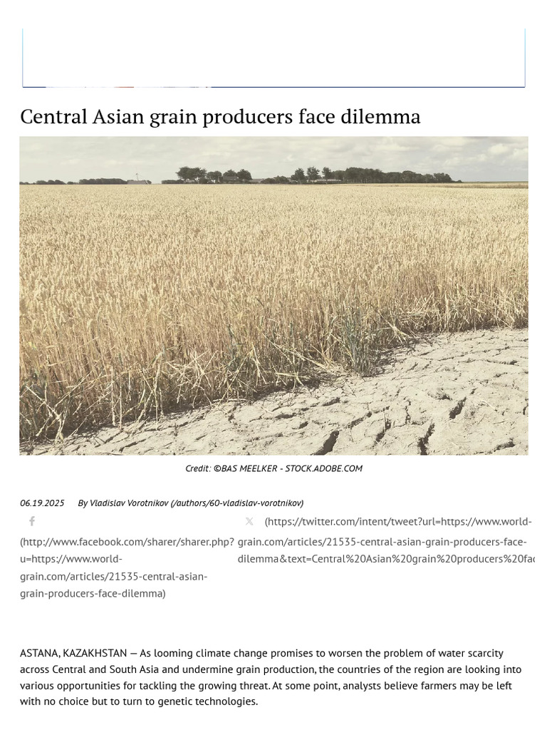 Central Asian Grain Producers Face Dilemma _ World Grain | PDF ...